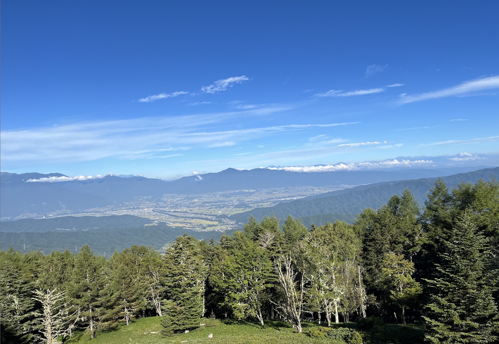 sees school 2023〈夏編〉参加レポート（文：塚田 里菜 ） - inadani sees – 農と森のインキュベーション